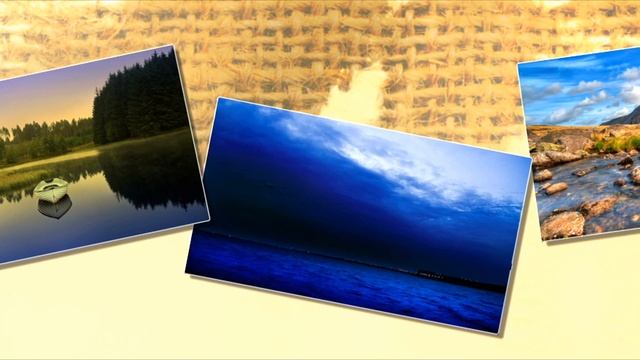 Alexey Evchenko - Pain