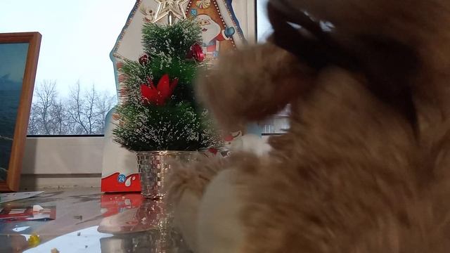 то что надо в школу