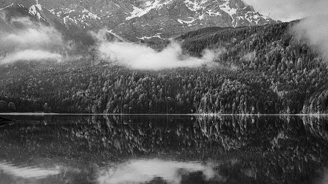 Сосредоточенность