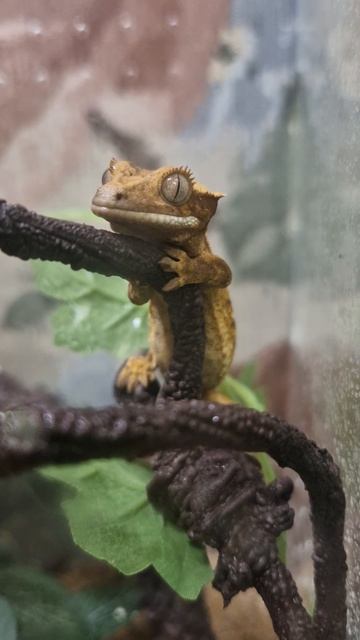 КРАСАВЕЦ И ЗНАЕТ ОБ ЭТОМ