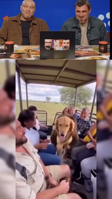 Засмеялся подписался 😁