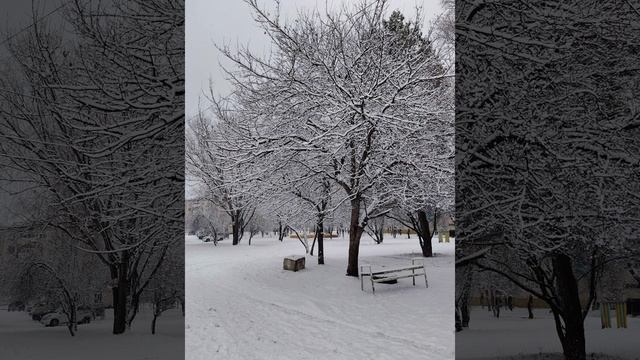 Песня Белым снегом - Ольга Бемлер