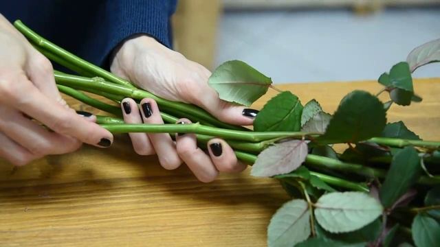 Основы спиральной техники на опоре