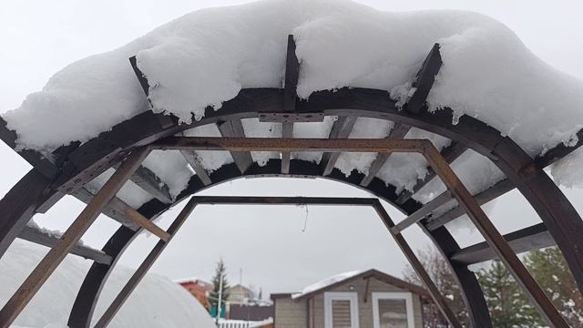 Дачные зарисовки 12 ноября 2025