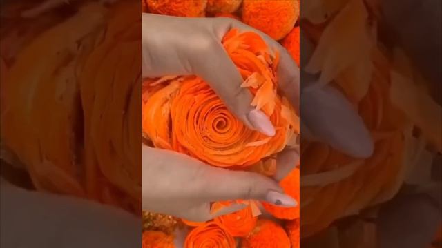 (◕‿◕✿)(◡‿◡✿)