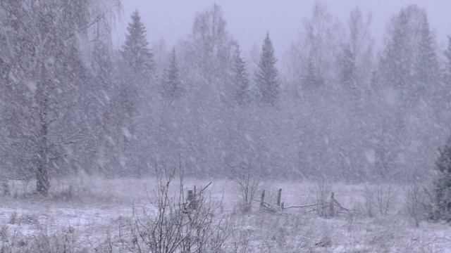 такого снегопада