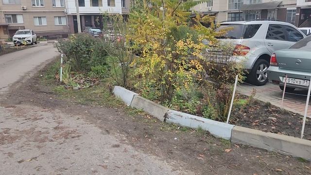 Начало декабря в Белгороде