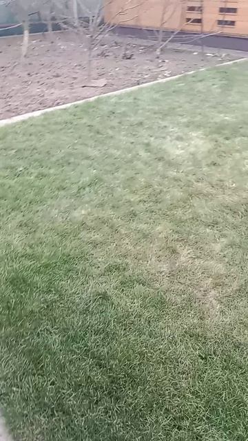 7 декабря. Беларусь. Работа на земле