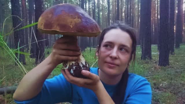 ГРИБНАЯ ПОРА