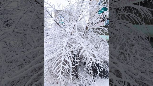 Песня Новогодние желания 2025 - Ольга Бемлер