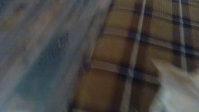 06.12.25 в 23:11 ГУЛ КОМПРЕССОРА, МИГАЕТ СВЕТ, СВЕРЛЯТ НОЧЬЮ ДРЛГО И УПОРНО ГДЕТО