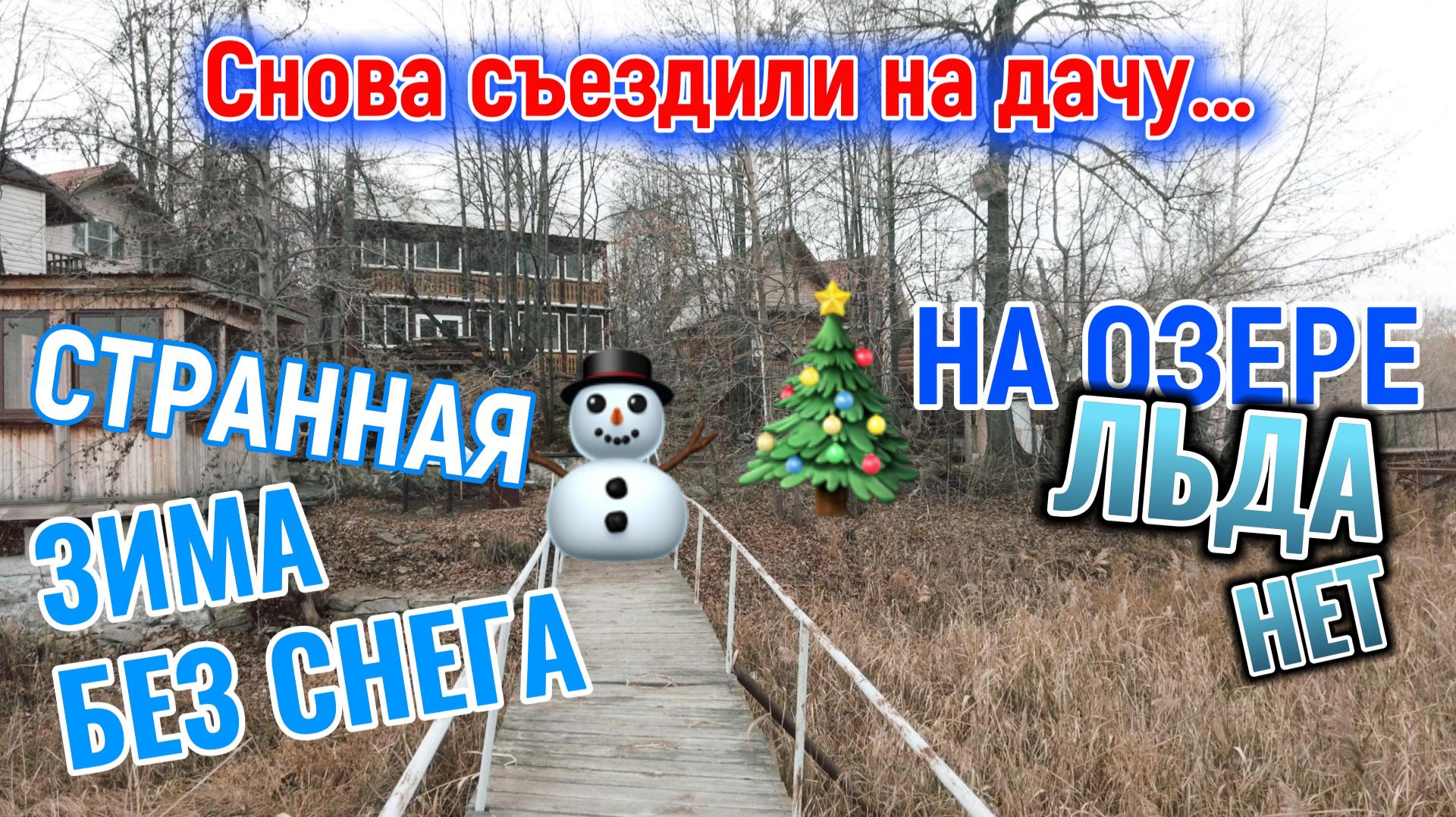 Съездили на дачу - на озере нет ни снега ни льда 6 декабря 2025 г