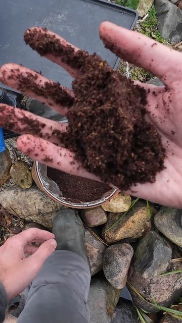 Vabik готовая прикормка