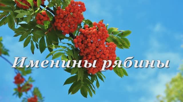 ИМЕНИНЫ РЯБИНЫ