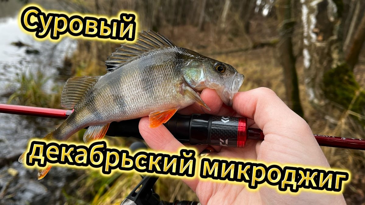 Микроджиг в декабре. Рыбалка на малом водоеме