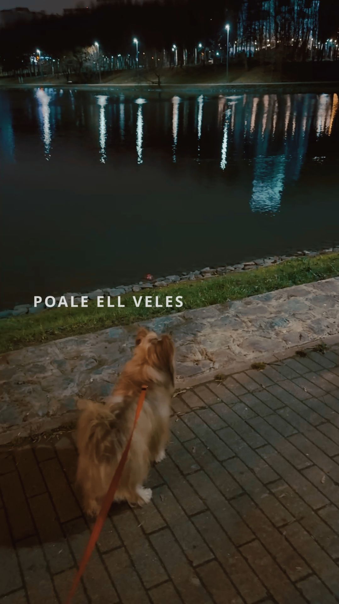 Велес в Москве