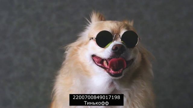 Жестко но справедливо с калом из Альфы