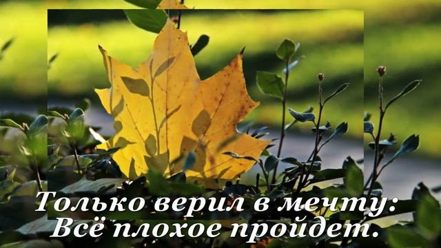 ЖЁЛТЫЙ ЛИСТ