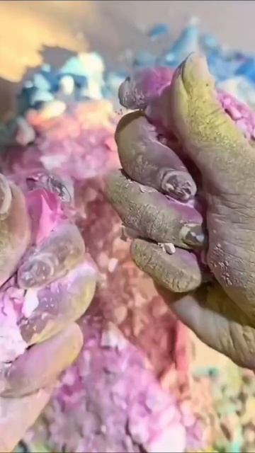 (◕‿◕✿)(◡‿◡✿)