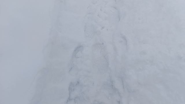 Дачные зарисовки 7 декабря 2025 года