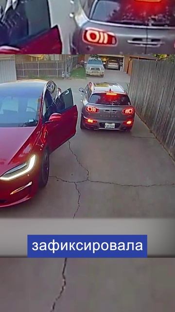 «Умная» Tesla сама открыла дверь и поцарапала Mini Cooper своего же хозяина