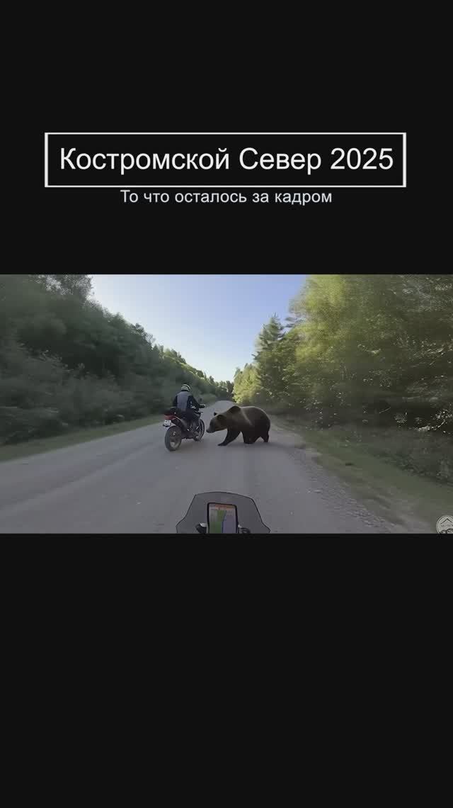 Костромской север 2025. То, что осталось за кадром...