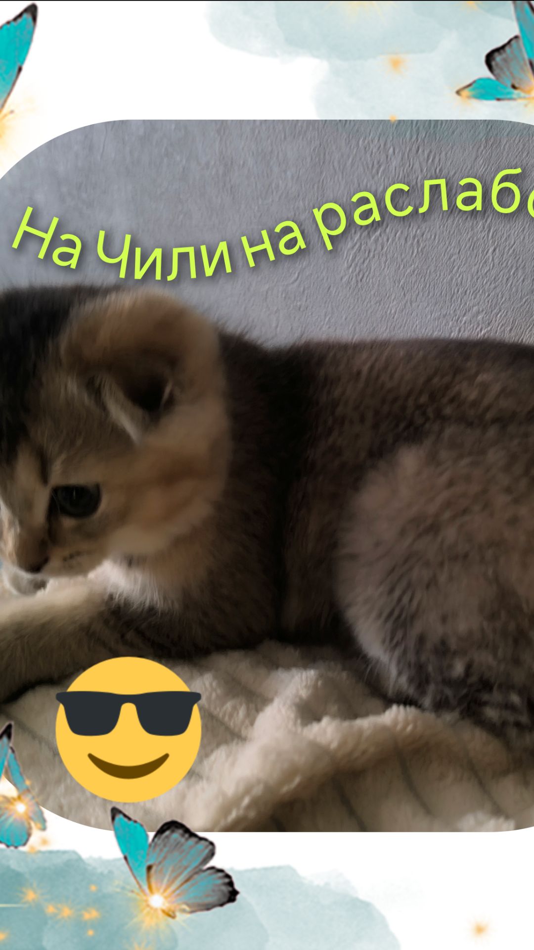 Моня балдеет😎