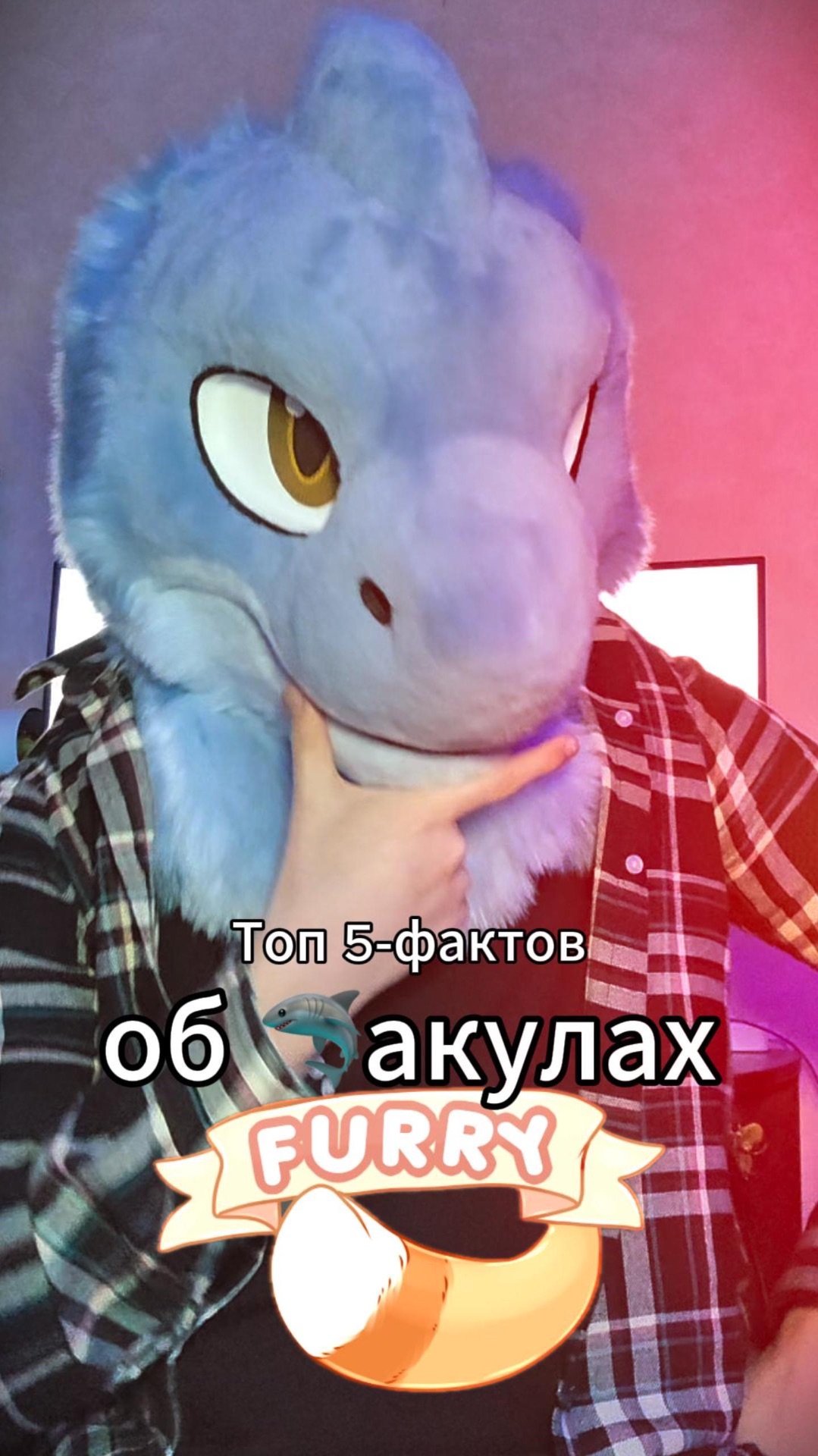 Топ-5 фактов о 🦈фурри-акулах #shark #furry #fursuit #fursona #funny #top5
