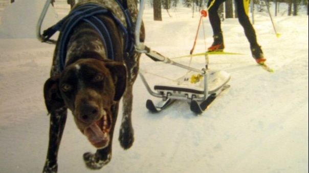 2002 год. Чемпионат Европы. Первое участие России в дисциплине "пулка"