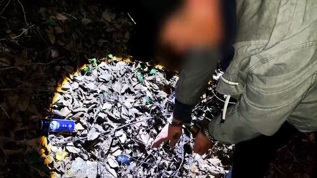 Сегодня свой профессиональный праздник отмечают сотрудники полицейского наркоконтроля.