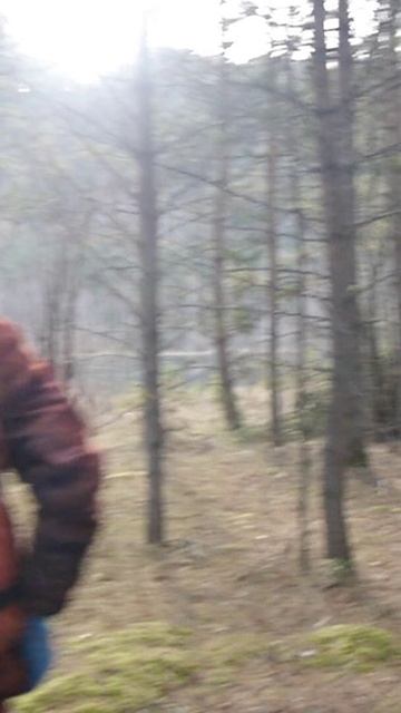 Ледяной сплав_2. Это надо видеть