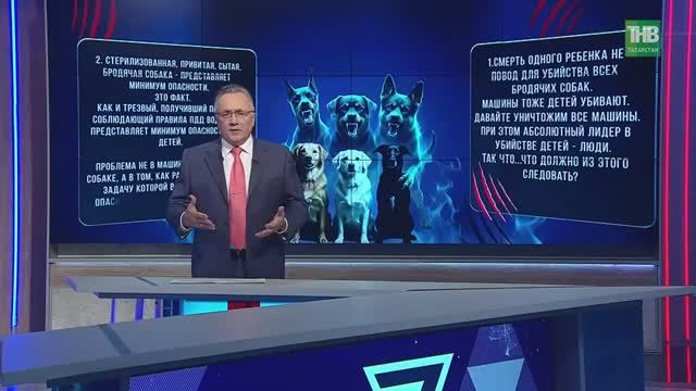 9-летнюю девочку в Татарстане растерзали собаки: расследование под личным контролем главы СК| 7 дней