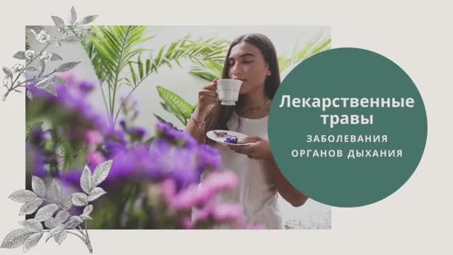Заболевания органов дыхания и лекарственные травы