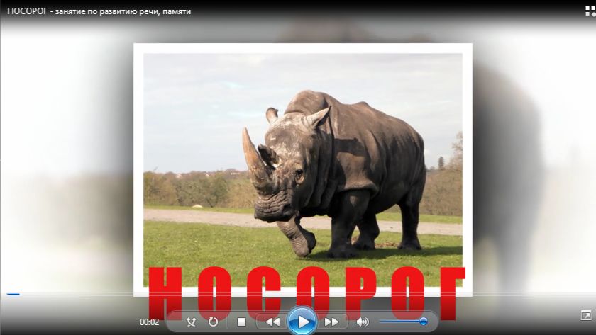 НОСОРОГ - занятие по развитию речи, памяти