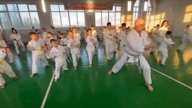 "Каратэ - это больше чем спорт". 💪