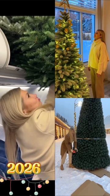 скоро Новый год! #снаступающим #новыйгод#2026