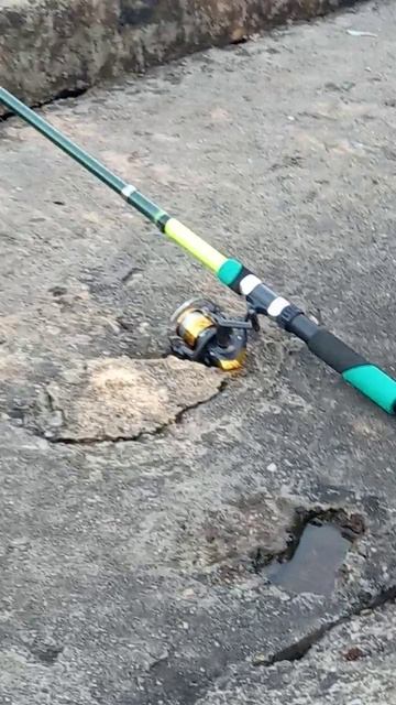 Барбекю у воды рыбалка.Мясо жарим на палке сырой