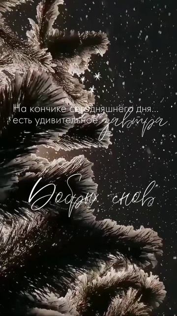 Добрых снов