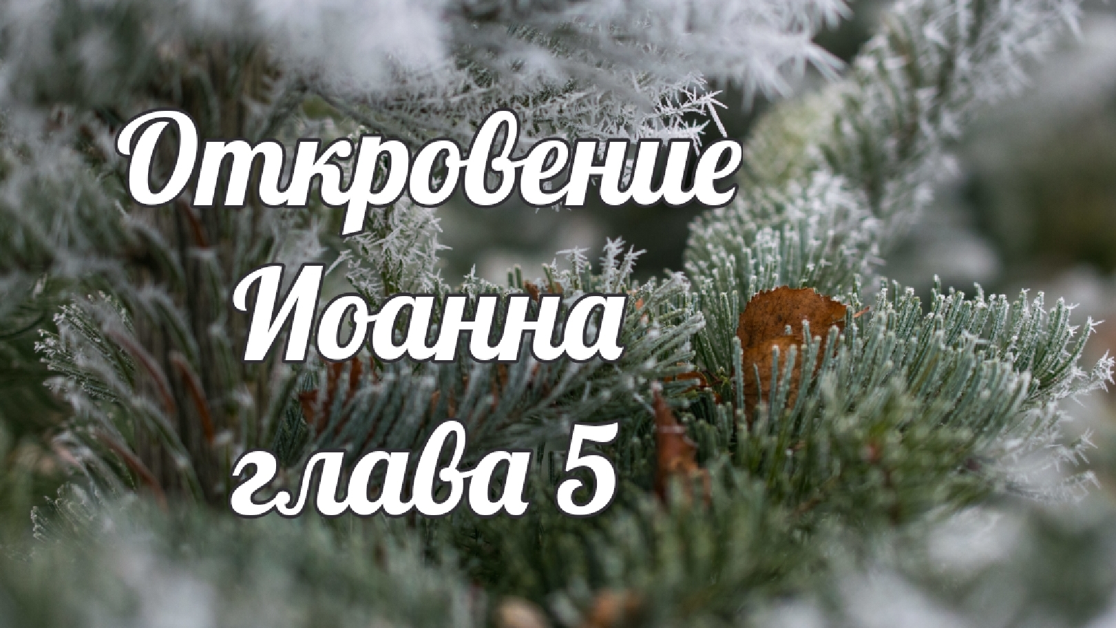Откровение Иоанна глава 5