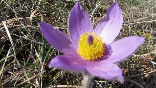 Ждем весну!