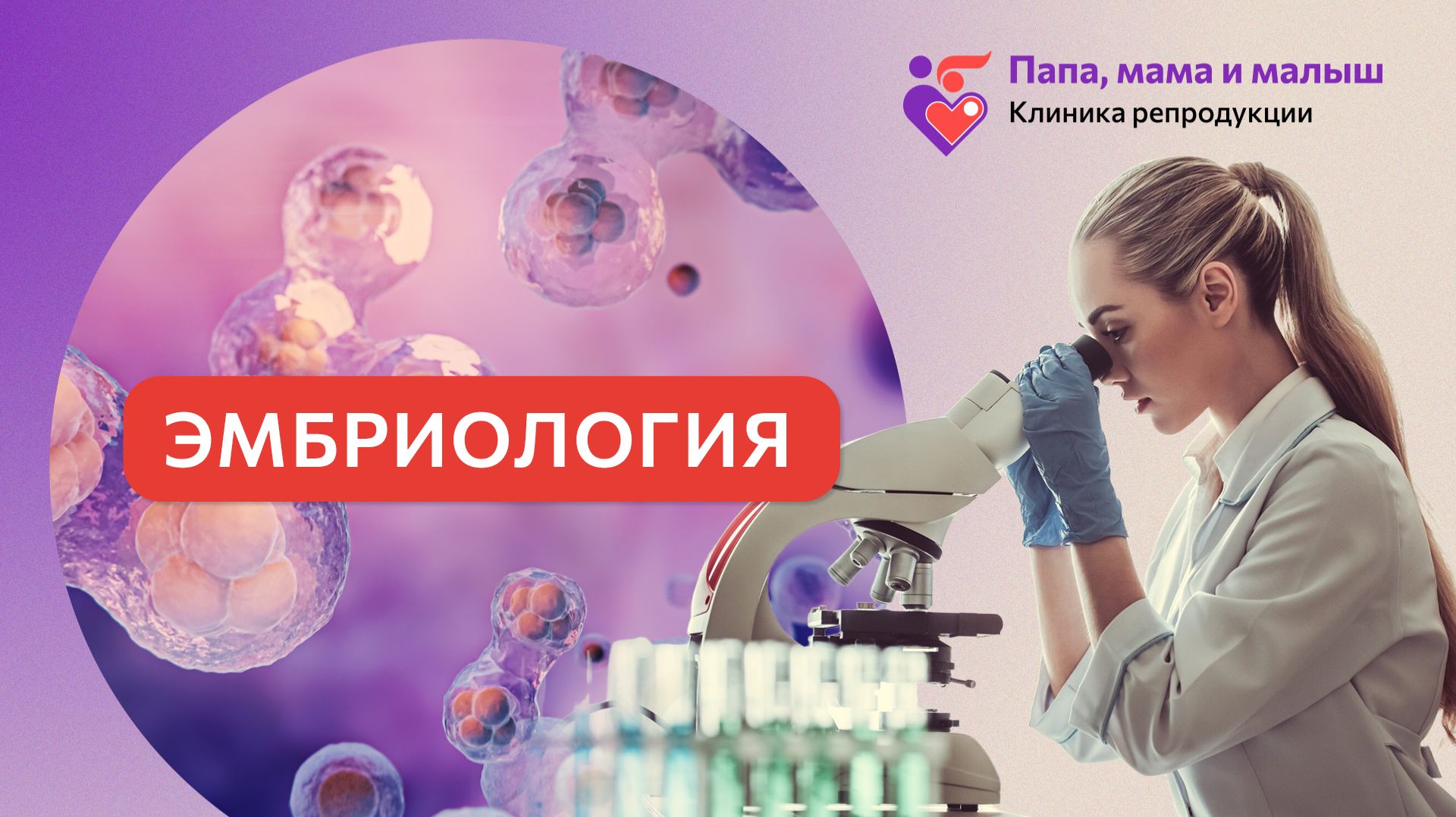 Эмбриология "Папа, мама и малыш"