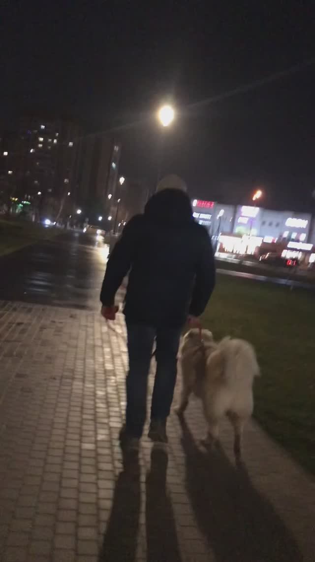 Вечерняя прогулка с Ричиком, по нашему поселку ❤️