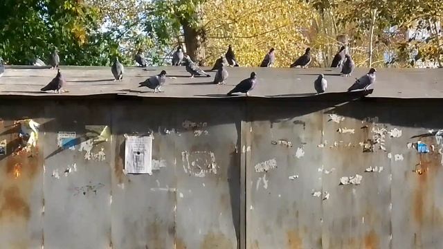 Родительское собрание