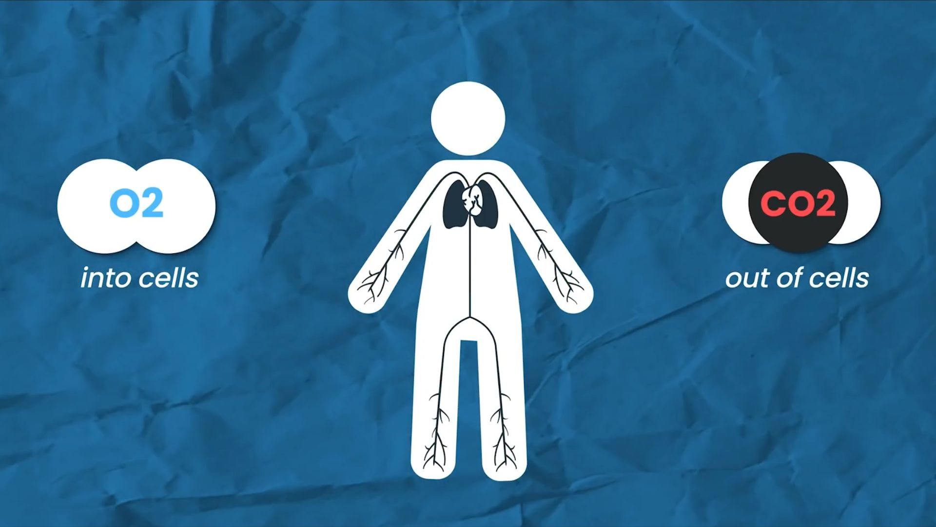 Гемоглобин