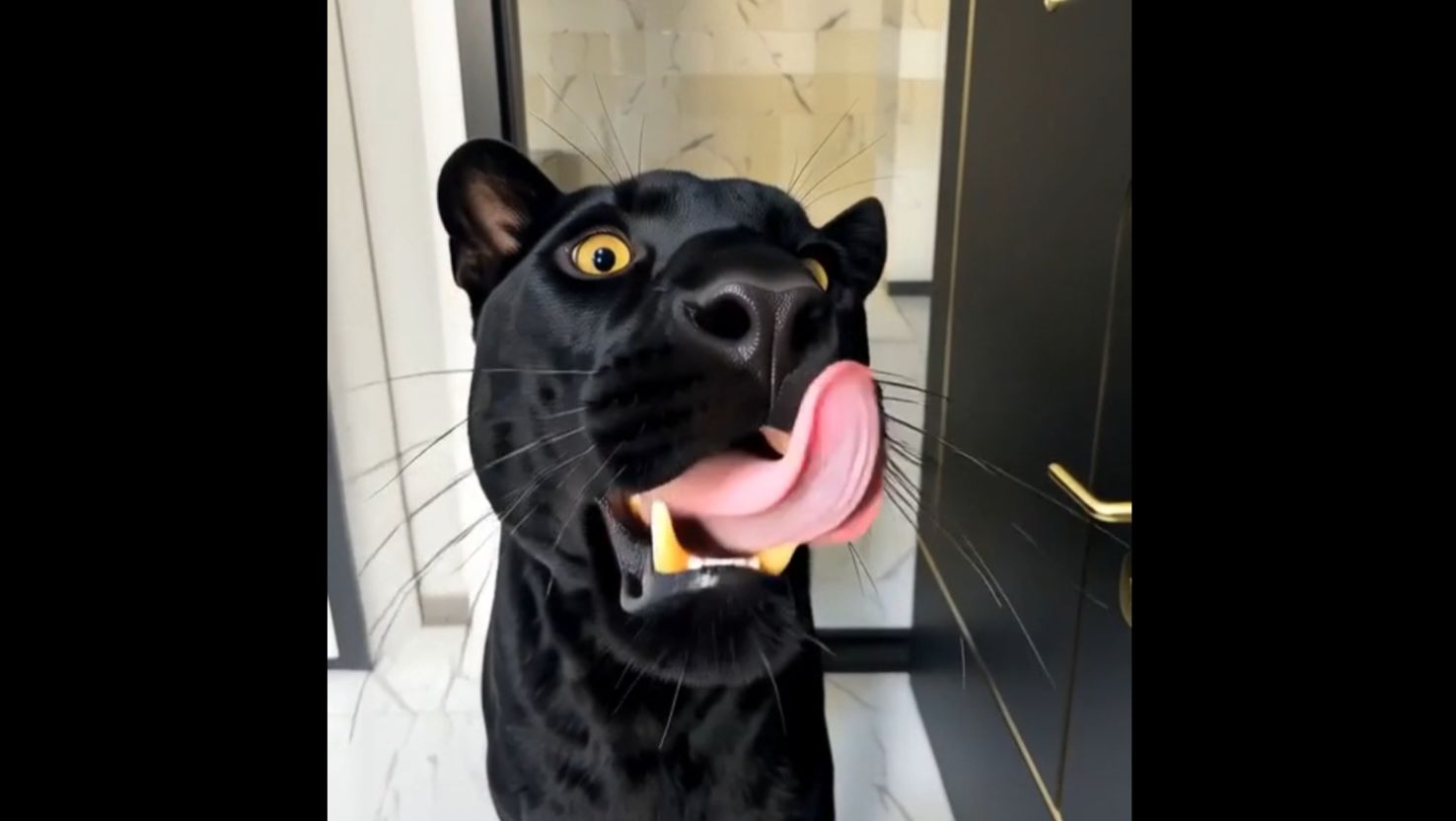 Входные двери в квартиру по индивидуальным запросам