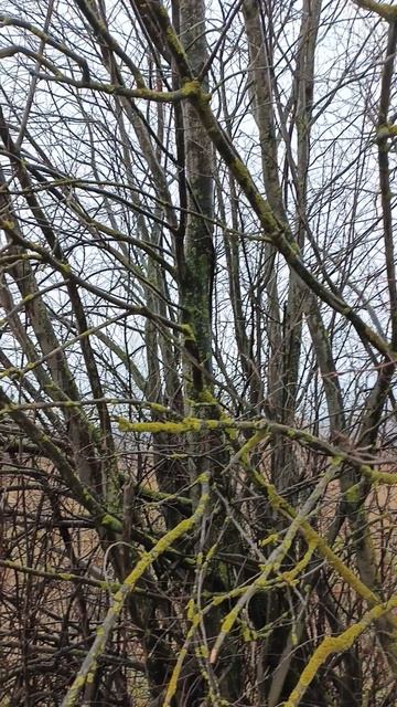 Работа над осенним клипом 3. Камера