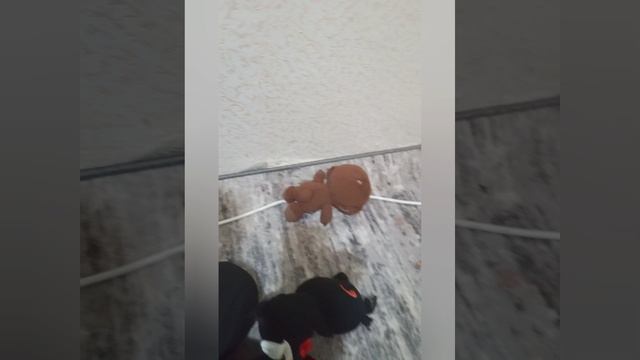 ГРЕНДПА ОБМАНУЛ МЕНЯ! ГРЕННИ И ГРЕНДПА В РЕАЛЬНОЙ ЖИЗНИ.