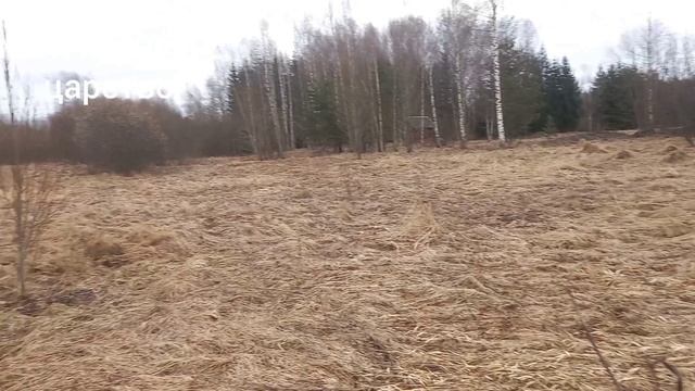 Пруд на своём участке