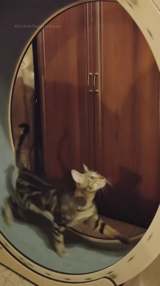 Я бегу, бегу, бегу