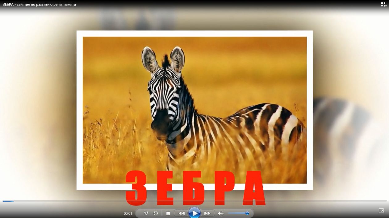 ЗЕБРА - занятие по развитию речи, памяти